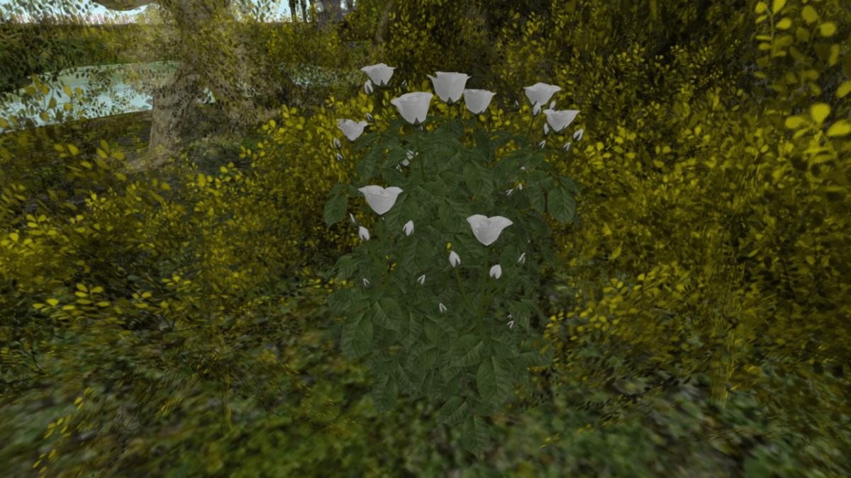 Time’s Up at One Billion Rising: take the White Rose Challenge – Prim ...